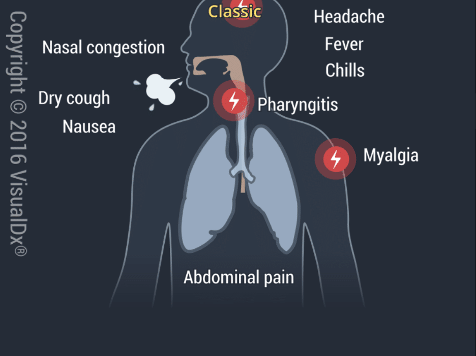 VisualDx Differential Helps NP Student Convince Doctor to Test for Flu ...